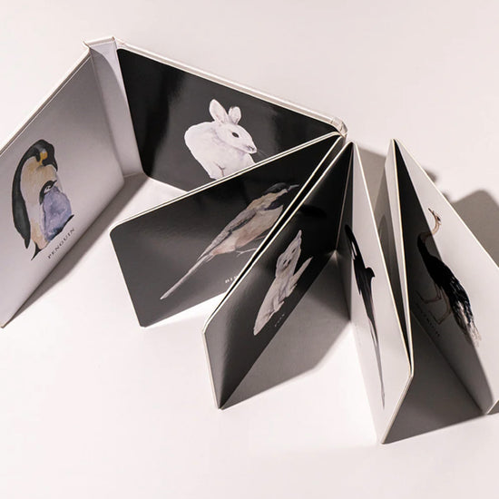 Books - Children's Picture Books - Design Life Kids