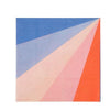 Color Wheel Party Napkins. Shop party supplies at DLK – Design Life Kids